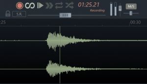 BaseHead - Ultimate SFX Search Engine